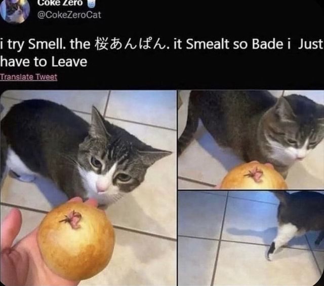 I try Smell. the &H AILA. it Smealt so Bade i Just have to Leave I ...