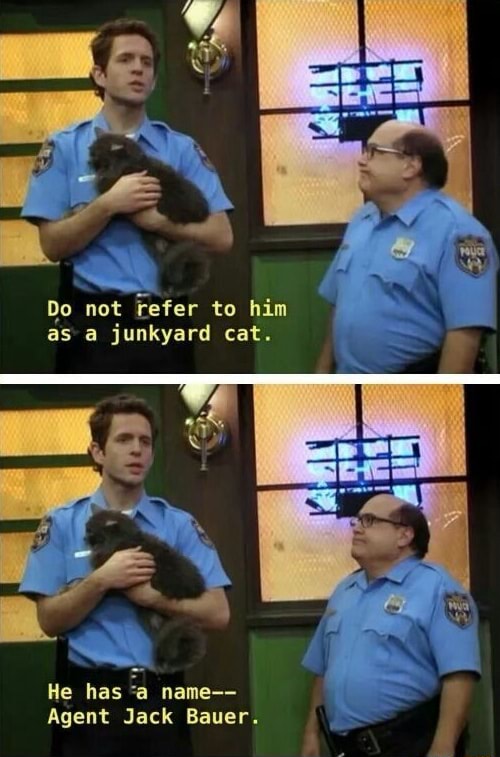 Do not refer to him as a junkyard cat. He has 'a name-- Agent Jack ...