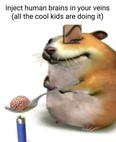 Inject human brains in your veins (all the cool kids are doing it) - iFunny
