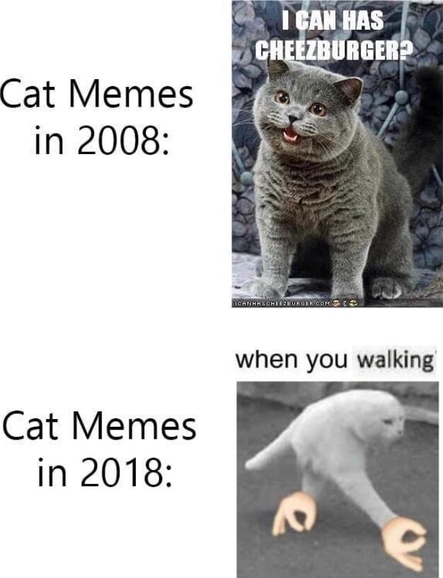 Cat Memes in 2008: when you walking Cat Memes in 2018: - iFunny