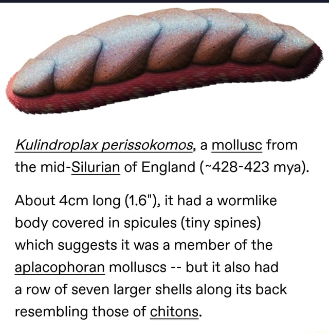 Ku/indrog/ax gerissokomos, a mollusc from the mid-Silurian of England ...
