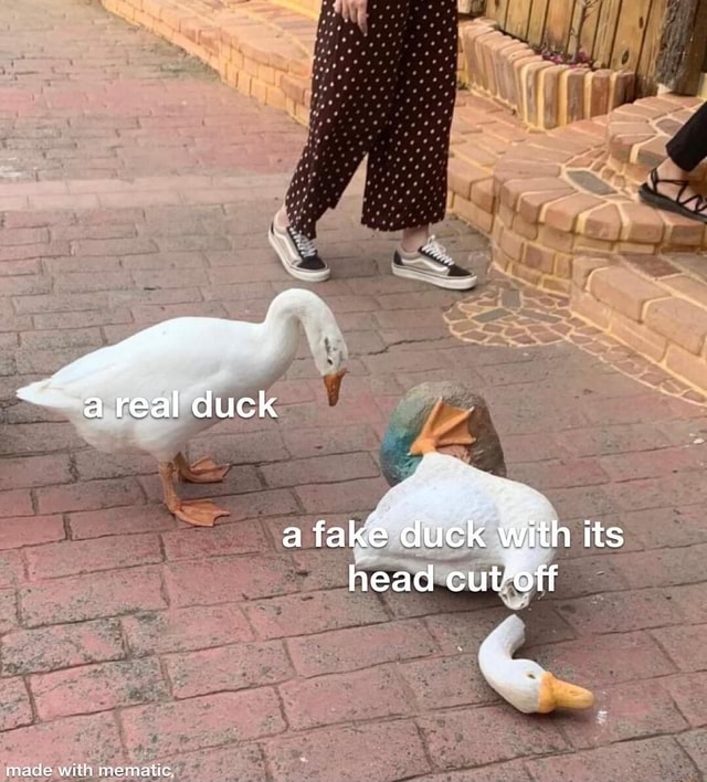 A real duck a fake duck with its head cut'off - iFunny