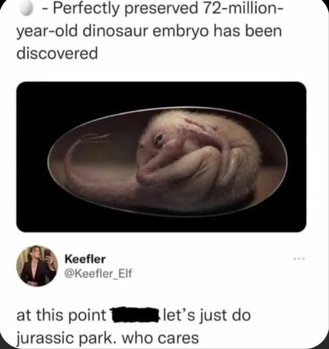 - Perfectly preserved 72-million- year-old dinosaur embryo has been ...