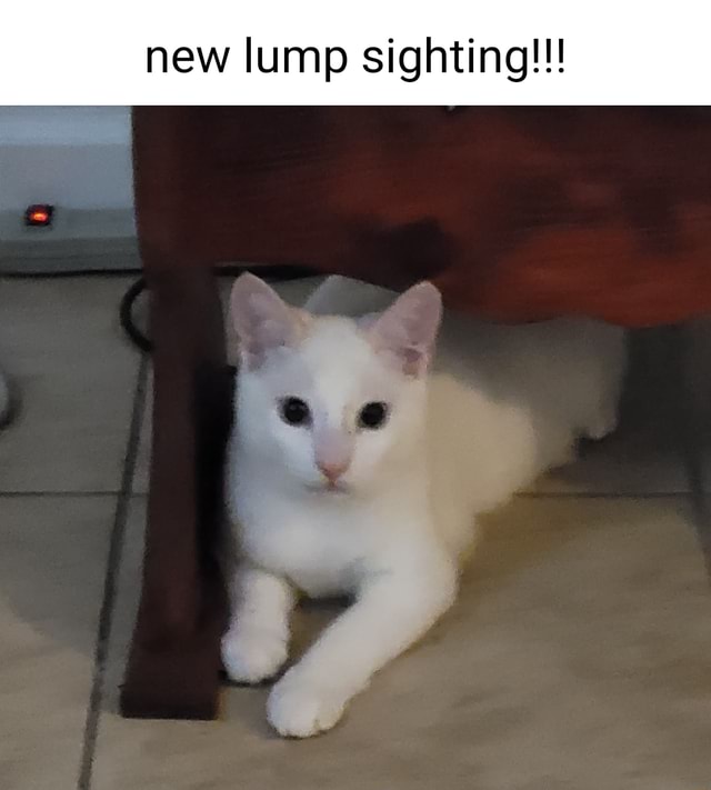 New lump sighting!!! - iFunny