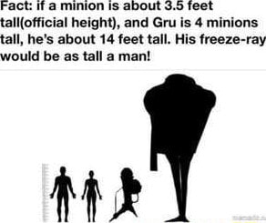 Fact: if a minion is about feet height), and Gru is 4 minions tall, he ...