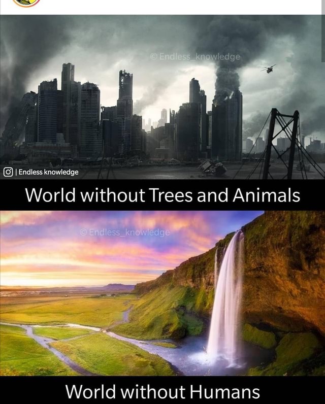 World without Trees and Animals World without Humans - iFunny