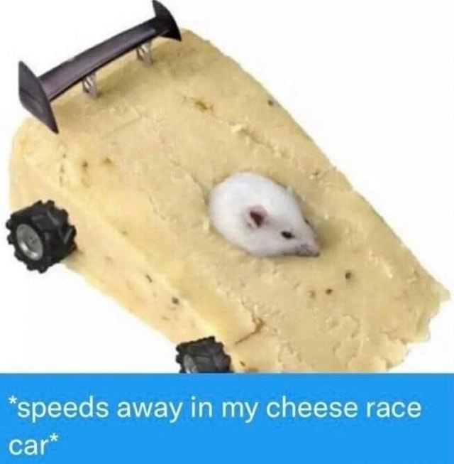 *speeds away in my cheese race car - iFunny