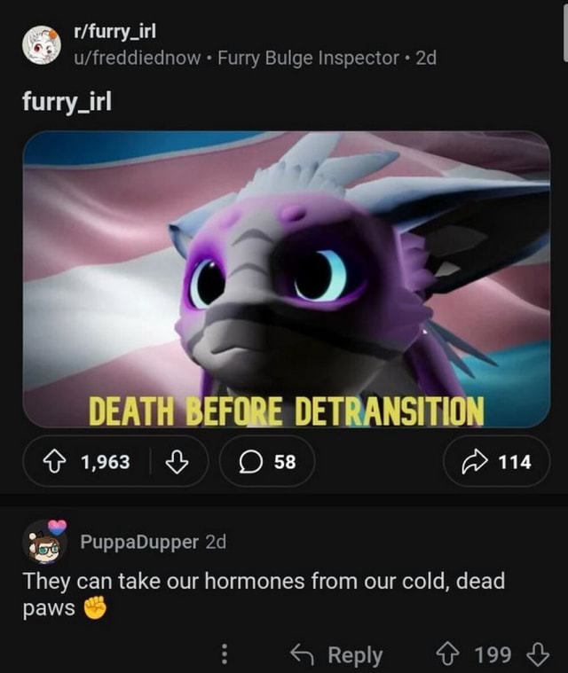 Furry Bulge Inspector furry_irl 1,963 DEATH They can take our hormones ...