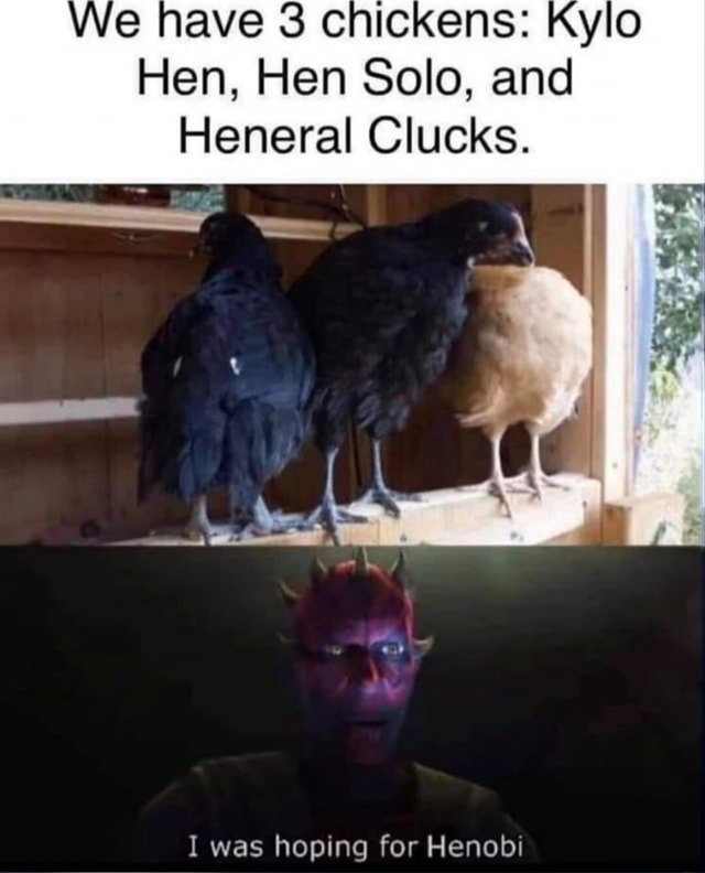 We nave 3 chickens: Kylo Hen, Hen Solo, and Heneral Clucks. I was ...
