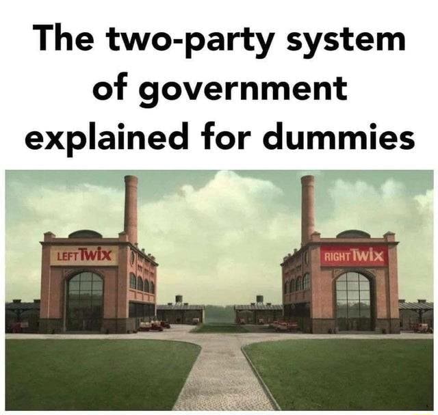 The two-party system of government explained for dummies niGHT - iFunny