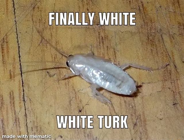 FINALLY WHITE WHITE TURK made withImematic - iFunny