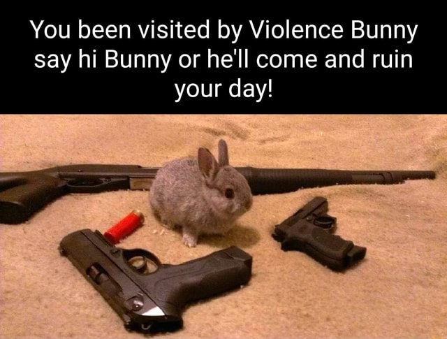 You been visited by Violence Bunny say hi Bunny or he'll come and ruin ...