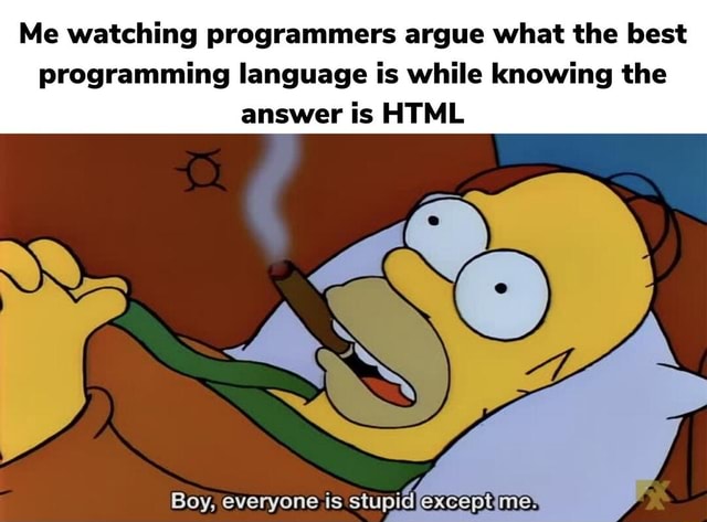 Me watching programmers argue what the best programming language is ...