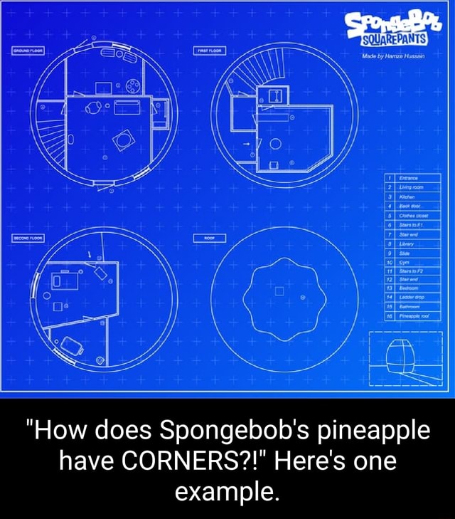 "How does Spongebob's pineapple have CORNERS?!" Here's one example ...