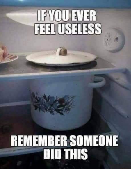 IF YOU EVER FEEL USELESS REMEMBER SOMEONE DID THIS - iFunny