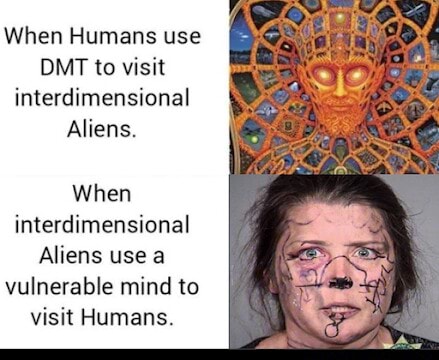 When Humans use DMT to visit interdimensional Aliens. When ...