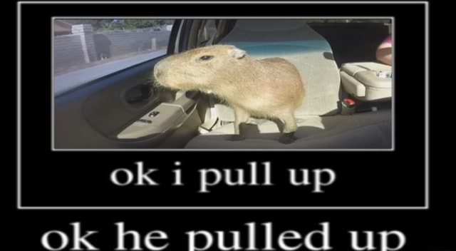 Ok i pull up ok he pulled up - iFunny