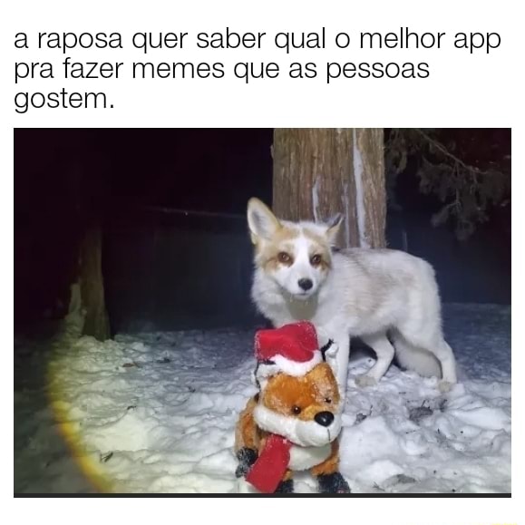 A raposa quer saber qual o melhor app pra fazer memes que as pessoas ...