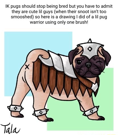 IK pugs should stop being bred but you have to admit they are cute bl ...