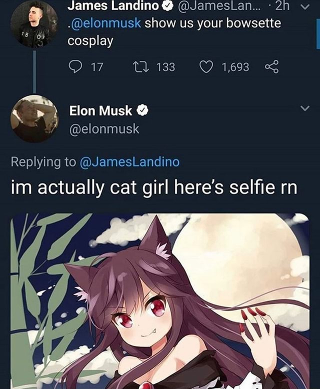 Im actually cat girl here's selﬁe rn - iFunny