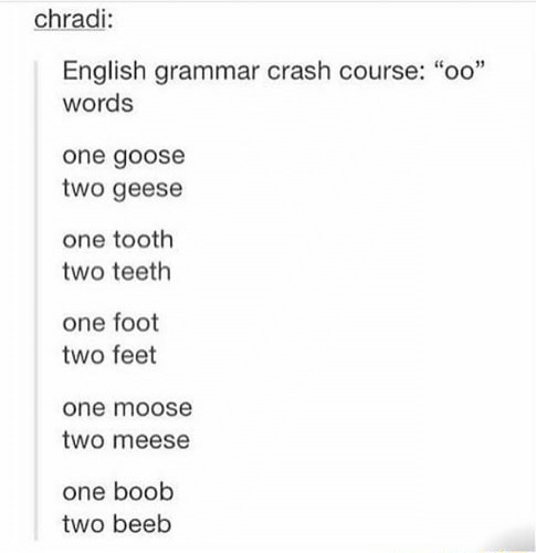 Chradi: English grammar crash course: "oo words one goose two geese one ...