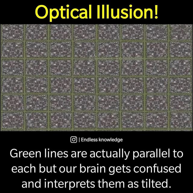 Optical Illusion! I Endless knowledge Green lines are actually parallel ...