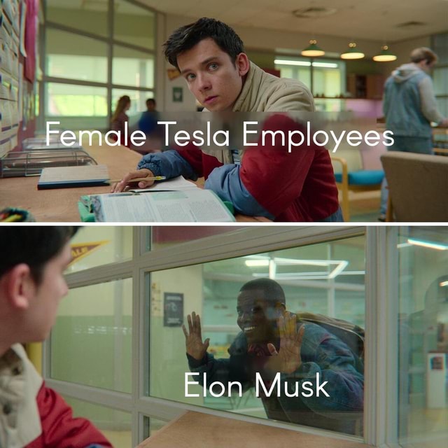Female Tesla Employees lon Musk - iFunny