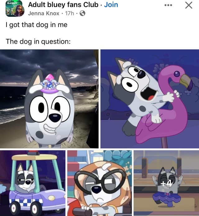 Adult bluey fans Club - Join Jenna Knox I got that dog in me The dog in ...