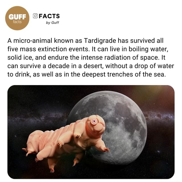 FACTS by Guff A micro-animal known as Tardigrade has survived all five ...