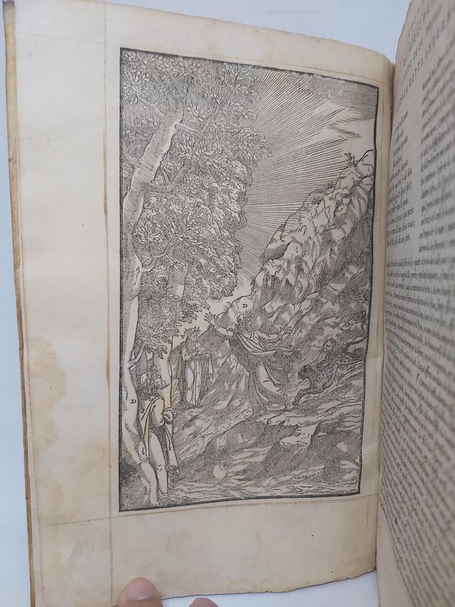 This work contains 77 of 87 beautiful woodcuts depicting various scenes ...