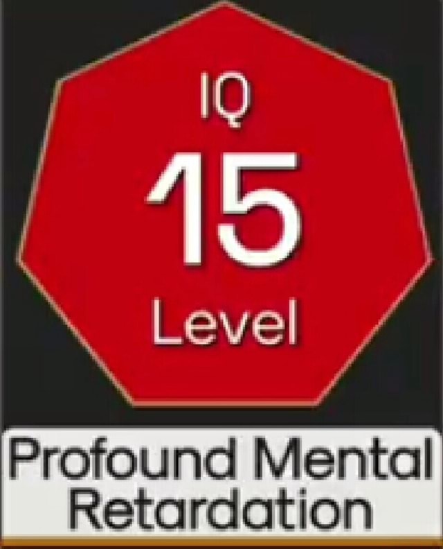 19 I Level / Profound Mental Retardation - iFunny
