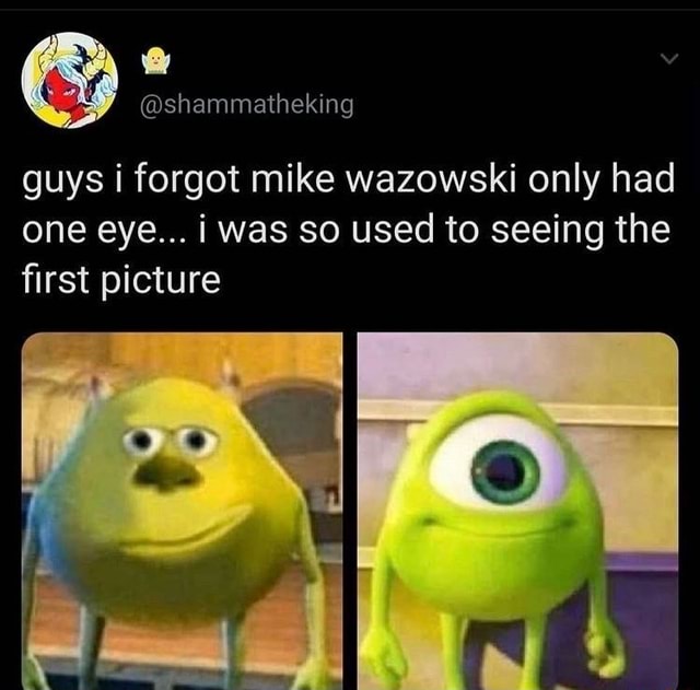Shammatheking guys i forgot mike wazowski only had one eye... i was so ...