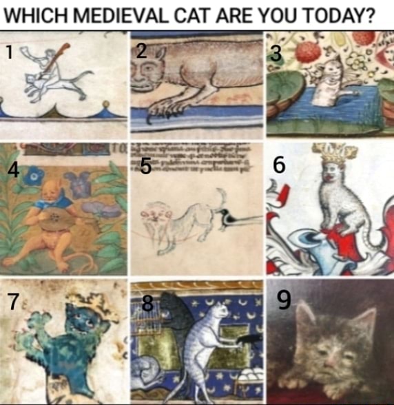 WHICH MEDIEVAL CAT ARE YOU TODAY? - iFunny