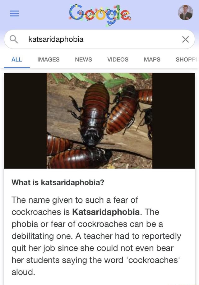 Katsaridaphobia ALL IMAGES NEWS VIDEOS MAPS SHOP What is ...