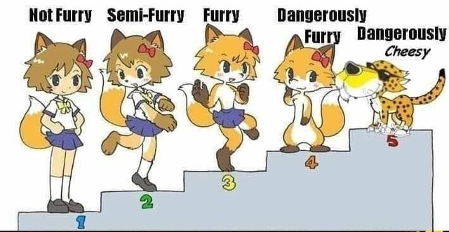 Not Furry Semi-Furry Furry Dangerously Dangerously - iFunny