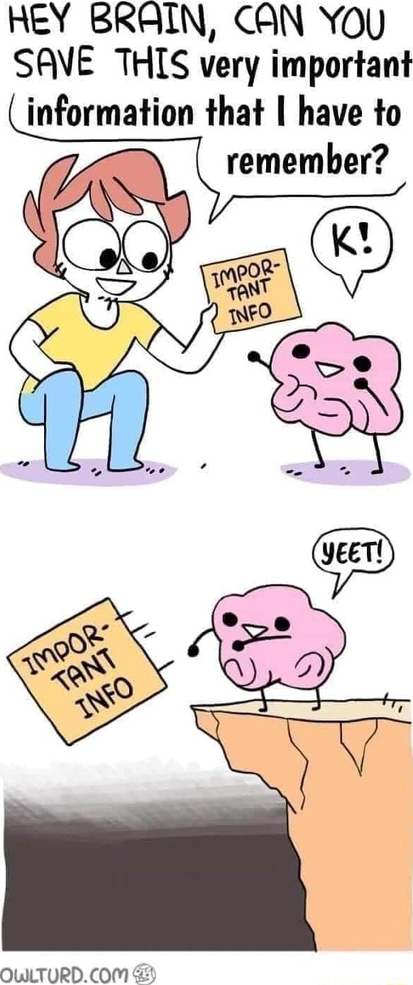 HEY BRAIN, CAN YOU SAVE THIS very important information that I have to ...