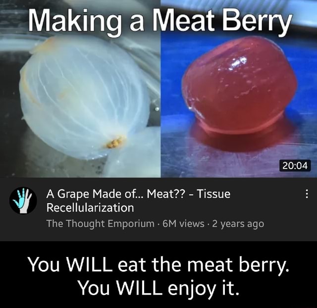 Making a Making Meat Be rry= -s we A Grape Made of... Meat?? - Tissue ...