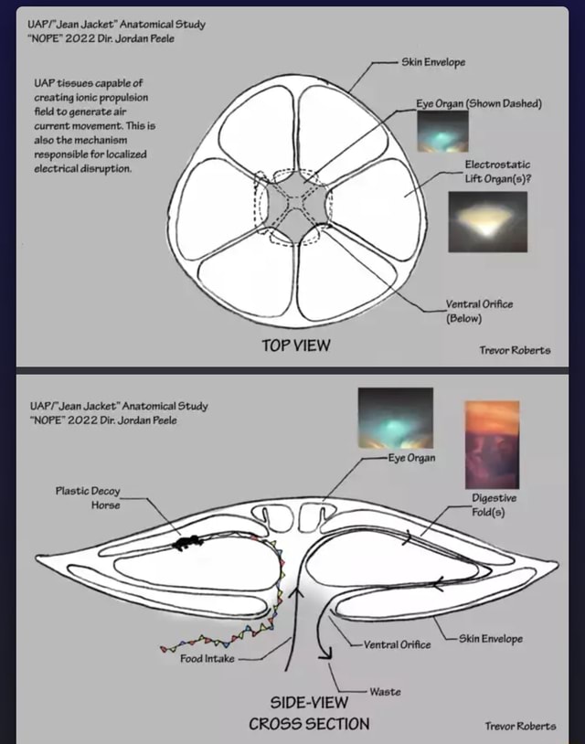 UAPS Jean Jacket" Anatomical Study "NOPE" 2022 Dir. Jordan Peele Skin ...