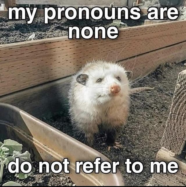 Mental Health and relatable meme dumppppp - my pronouns are none do not ...