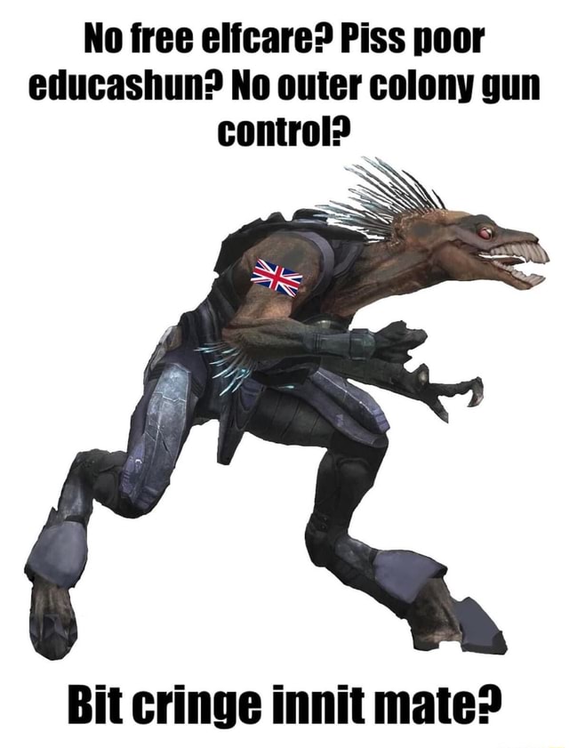 No free elfcare? Piss poor educashun? No outer colony gun control? Bit ...