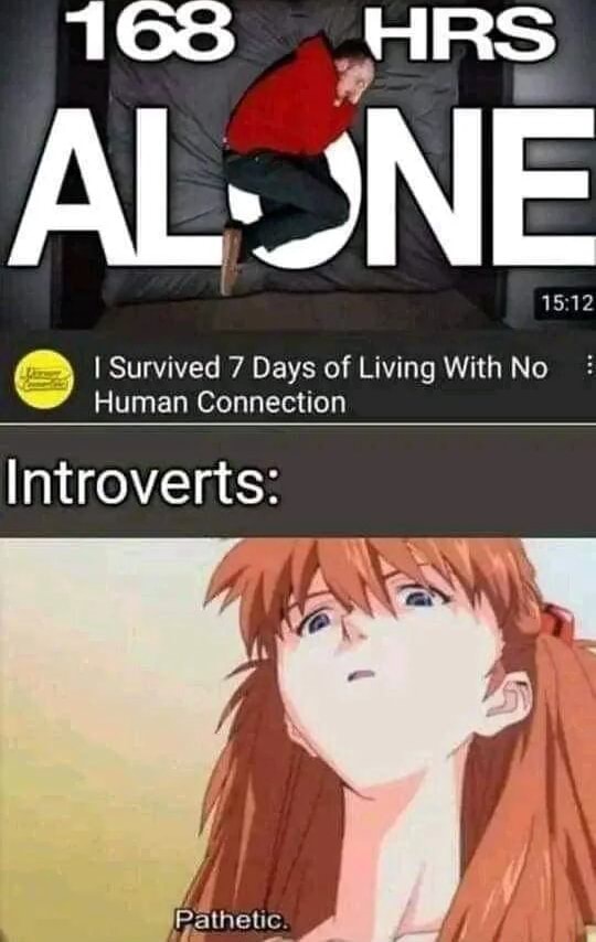 ALONE I Survived 7 Days of Living With No : Human Connection Introverts ...