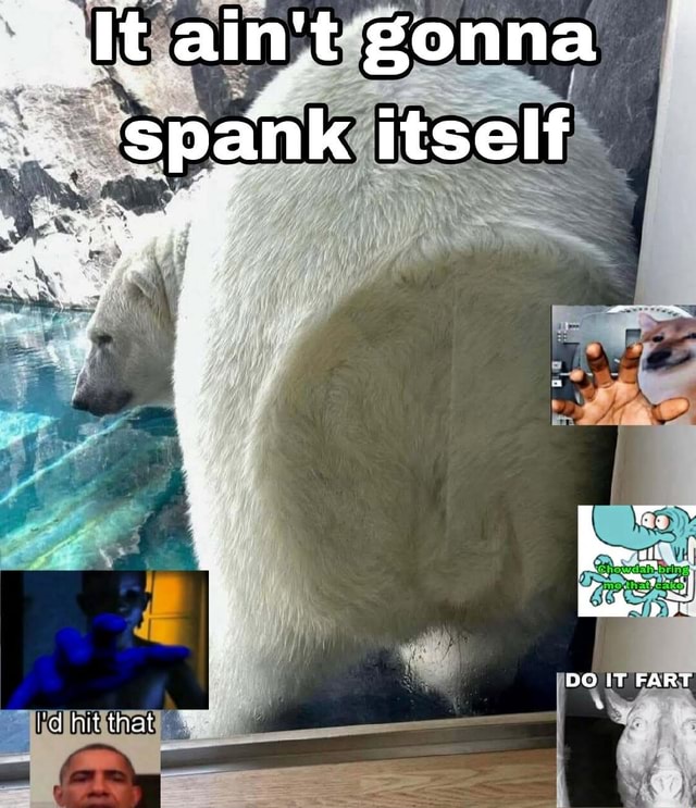 It ain't gonna Spank itself DO FART 'd hit that - iFunny
