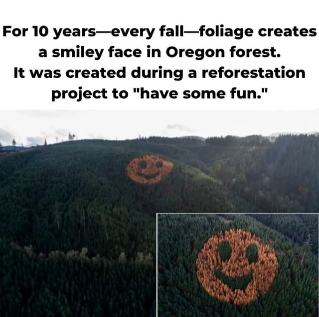 For 10 years-every fall-foliage creates a smiley face in Oregon forest ...