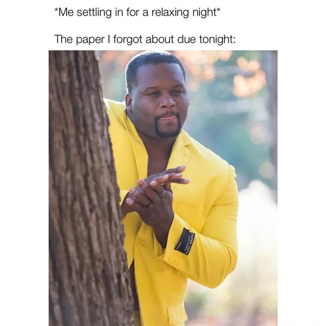 Lowkey cheeks and repetitive memes for today guys - *Me settling in for ...