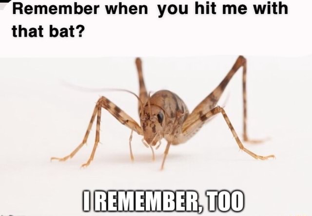 Remember when you hit me with that bat? REMEMBER, - iFunny