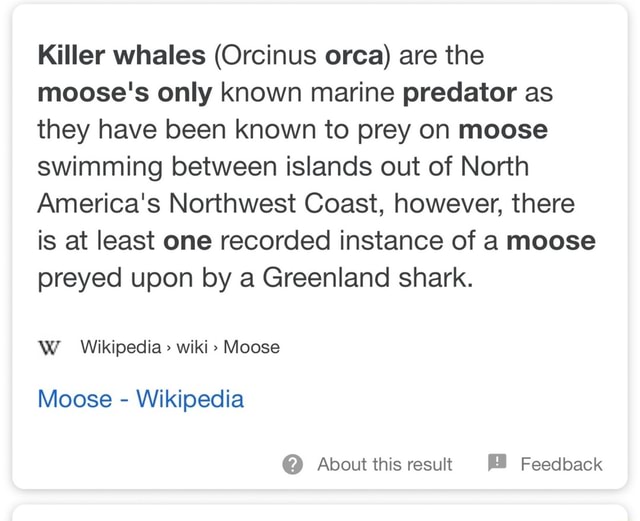 Killer whales (Orcinus orca) are the moose's only known marine predator ...