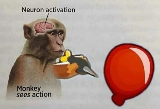 Neuron activation Monkey Sees action - iFunny Brazil
