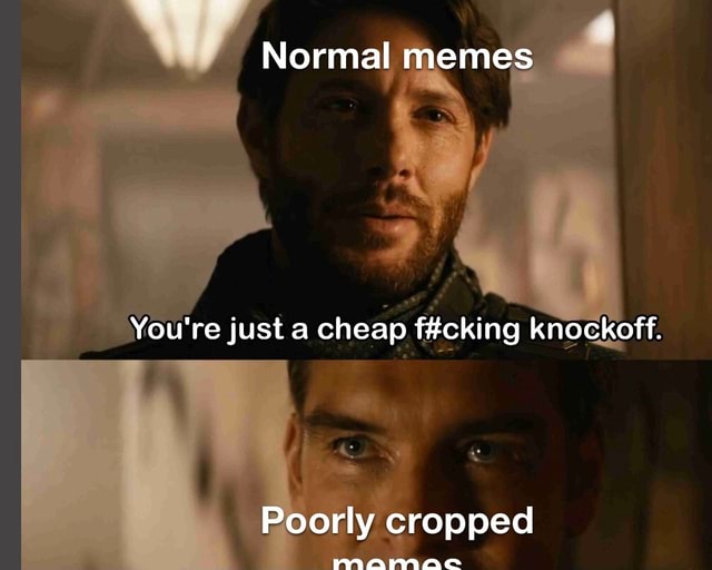 Normal memes You just a cheap cking knockoff. Poorly cropped TRAY - iFunny
