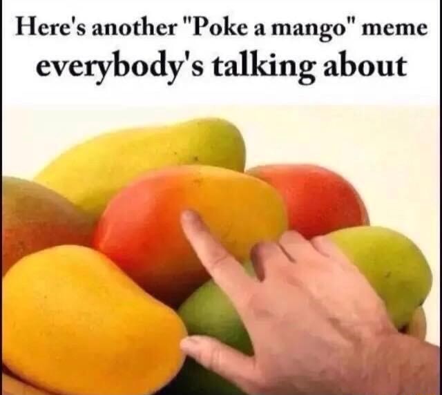 Here's another "Poke a mango" meme everybody's talking about - iFunny