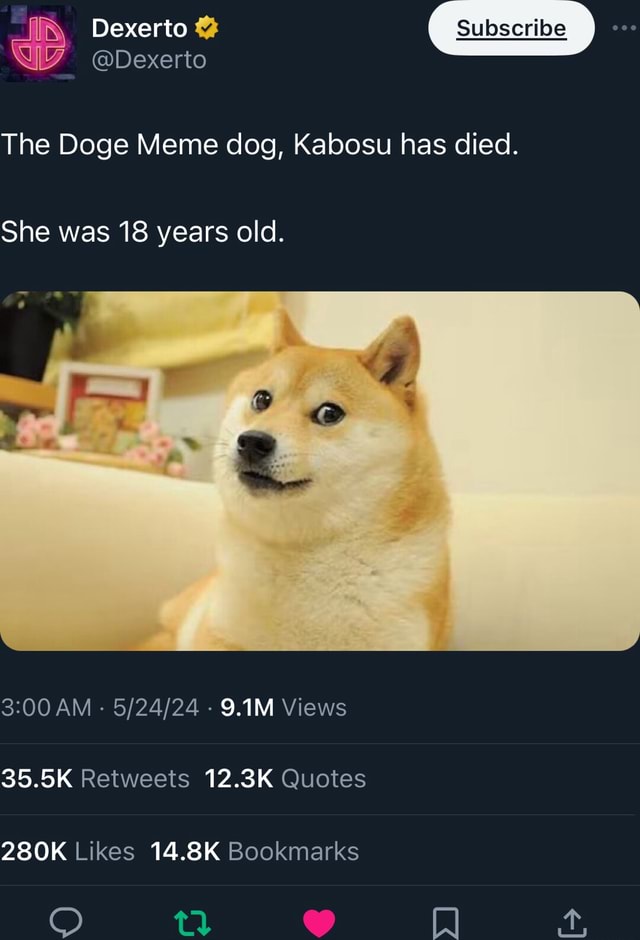 @Dexerto The Doge Meme dog, Kabosu has died. She was 18 years old. AM ...